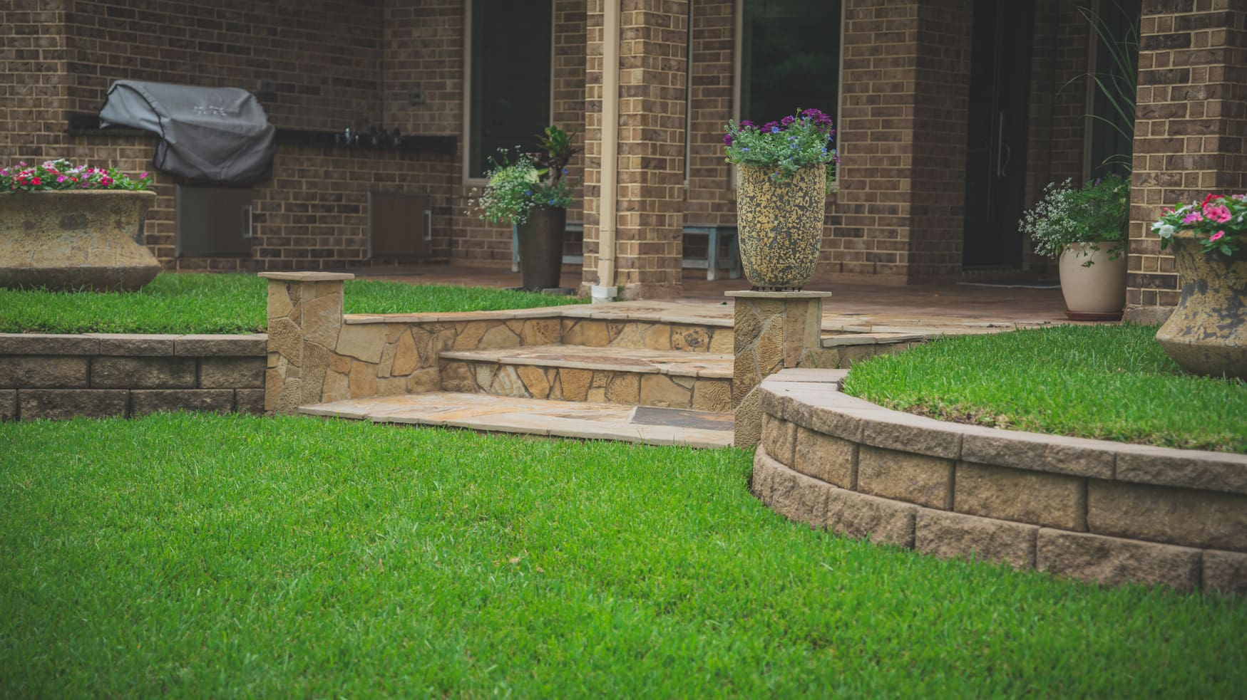 How To Identify And Treat Nutsedge, One Of The Most Stubborn Lawn Weeds